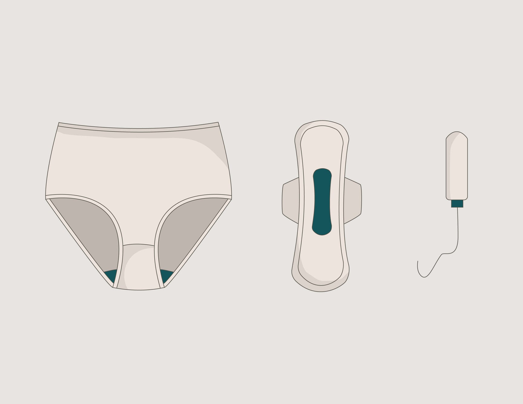 How Does Period Underwear Work? | Q for Quinn – Q for Quinn & Basics by ...