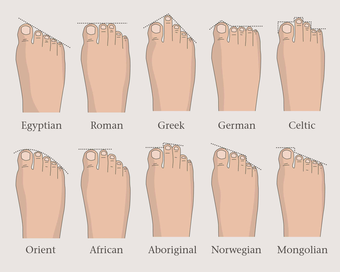 Types of Socks: Choose the Right Pair for Comfort & Style – Q for Quinn™